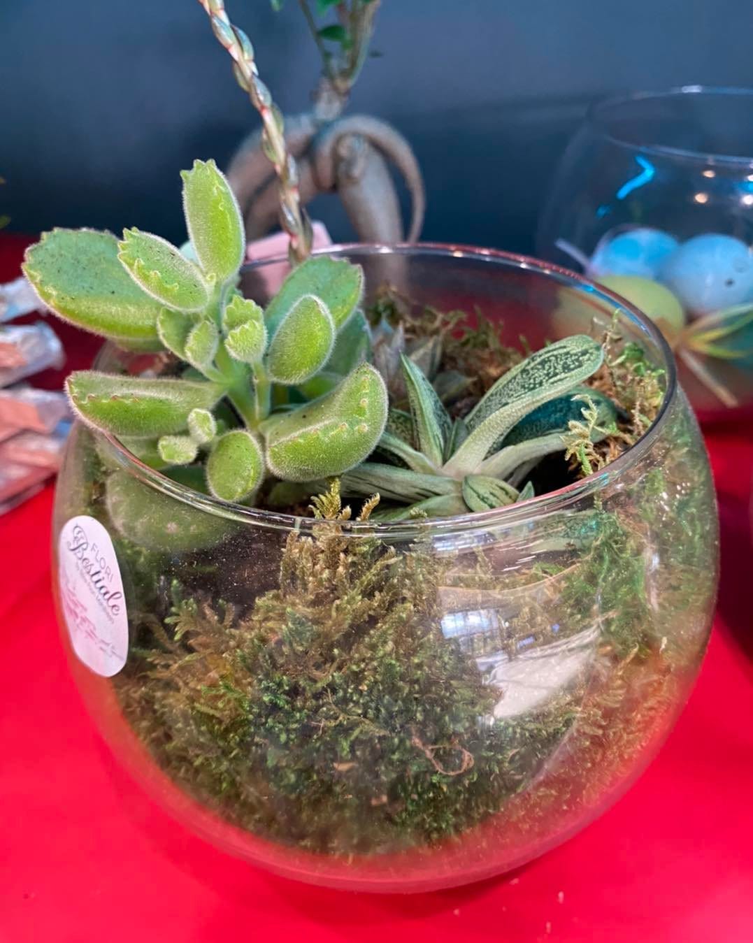 Lista de cumparaturi pentru majorat: ce sa nu lipseasca - Veranda Mall